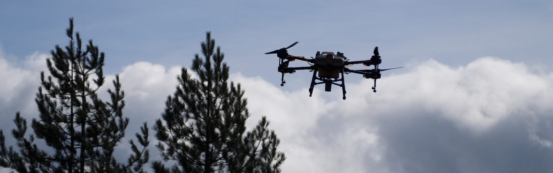 EL PROYECTO GO PHYTODRON MUESTRA LA EFICACIA DEL USO DE DRONES EN EL SECTOR FORESTAL — Baskegur